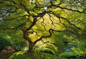 40 Incredible Photos of Breathtaking Places - YourAmazingPlaces.com
