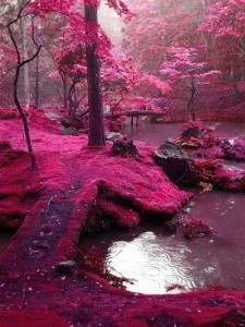 30 Extraordinary Pictures That Will Blow Your Mind - YourAmazingPlaces.com