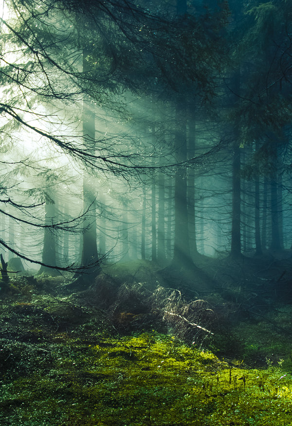 30 Most Exquisite Pictures of Nature - YourAmazingPlaces.com