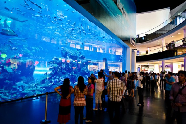Underwater Zoo And Aquarium In The World’s Largest Shopping Mall ...