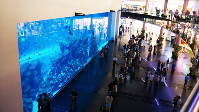 Underwater Zoo And Aquarium In The World’s Largest Shopping Mall ...