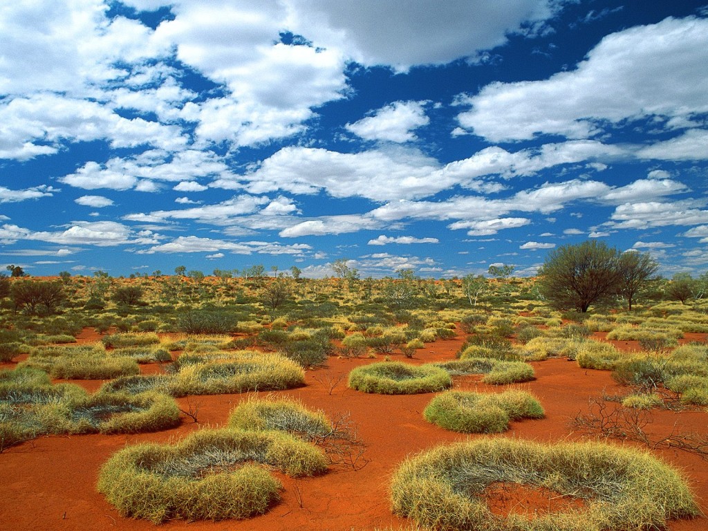 10 Beautiful Shots of Natural Art - YourAmazingPlaces.com