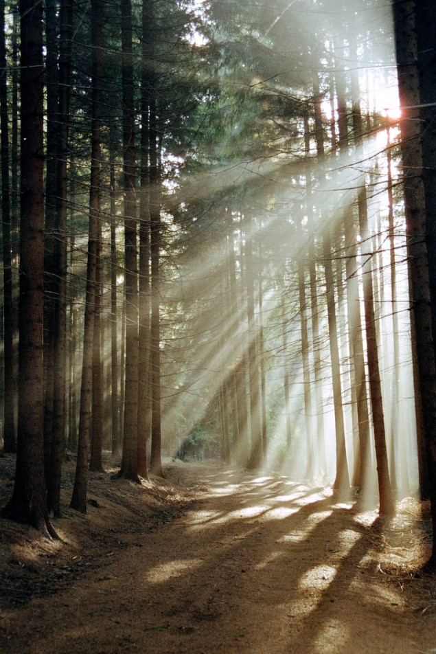 30 Most Exquisite Pictures of Nature - YourAmazingPlaces.com