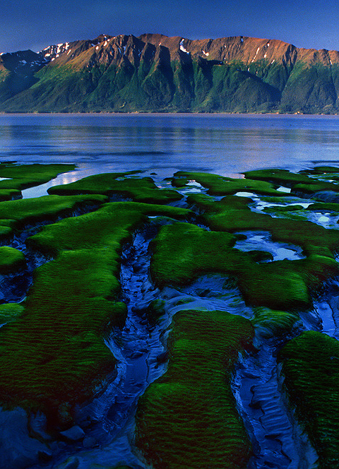 30 Most Exquisite Pictures of Nature - YourAmazingPlaces.com