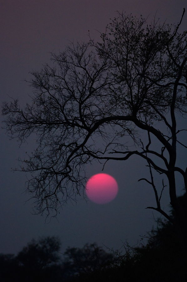 30 Most Exquisite Pictures of Nature - YourAmazingPlaces.com