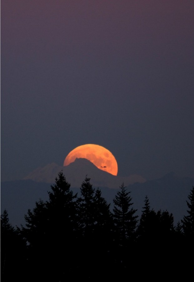 30 Most Exquisite Pictures of Nature - YourAmazingPlaces.com