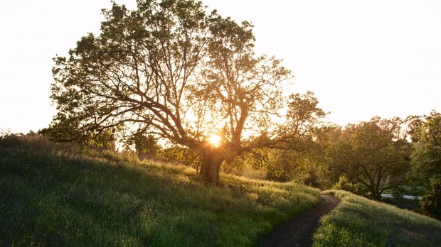 23 Scenic Landscapes That Will Take Your Breath Away ...