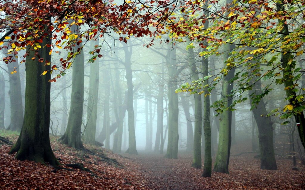 23 Scenic Landscapes That Will Take Your Breath Away ...