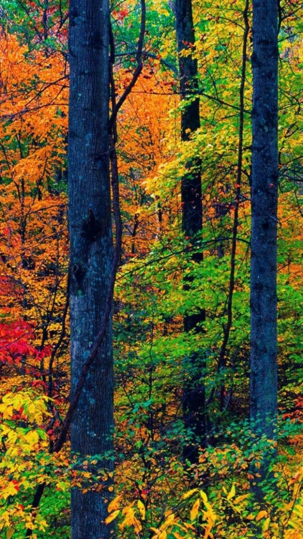 13 Inspirational Autumn Pictures - YourAmazingPlaces.com