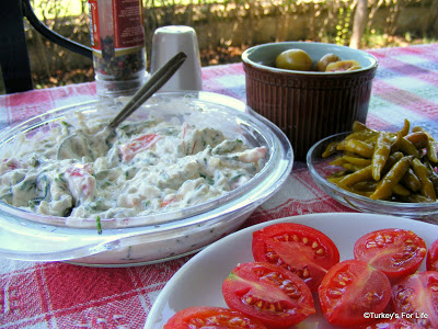 Food & Travel: 20 Traditional Dishes of Turkey - YourAmazingPlaces.com