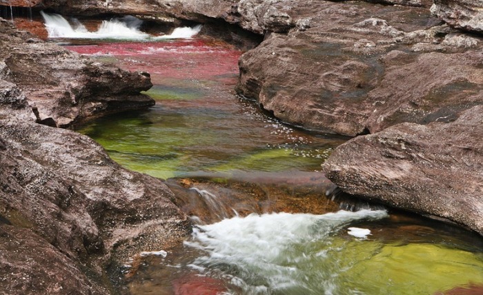 Caño Cristales - 19 Photos of the Beautiful River "Flowing in the ...