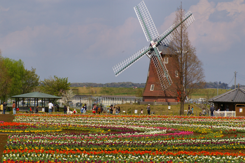 7 Interesting Windmills Around the World - YourAmazingPlaces.com