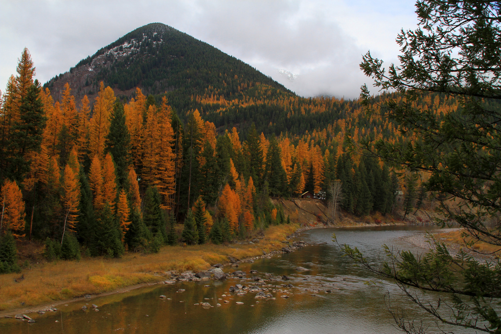 10 US locations for a fall foliage trip