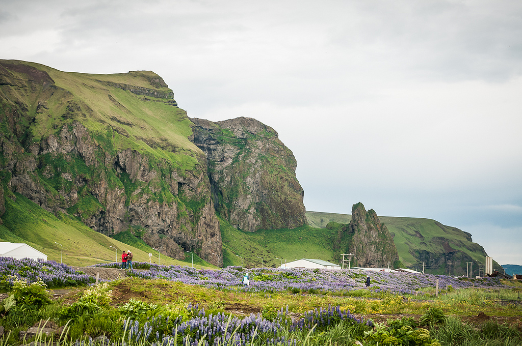 Discover Vik, The Most Visited Place in Iceland - YourAmazingPlaces.com