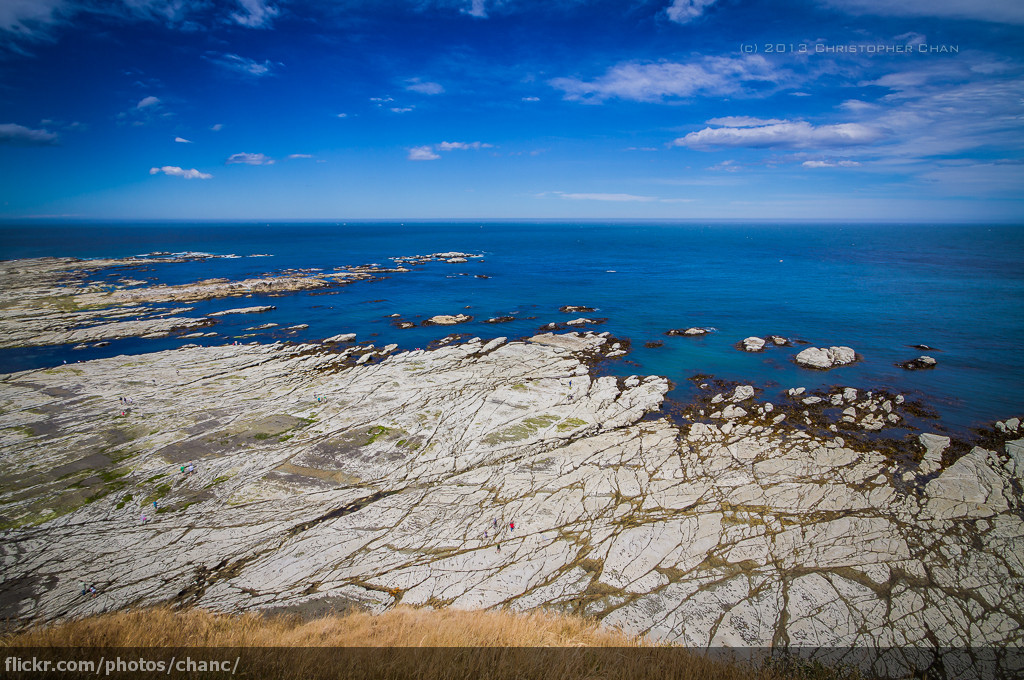 Dive Into The Waters of the Ocean and Explore the Beauty of Kaikoura ...