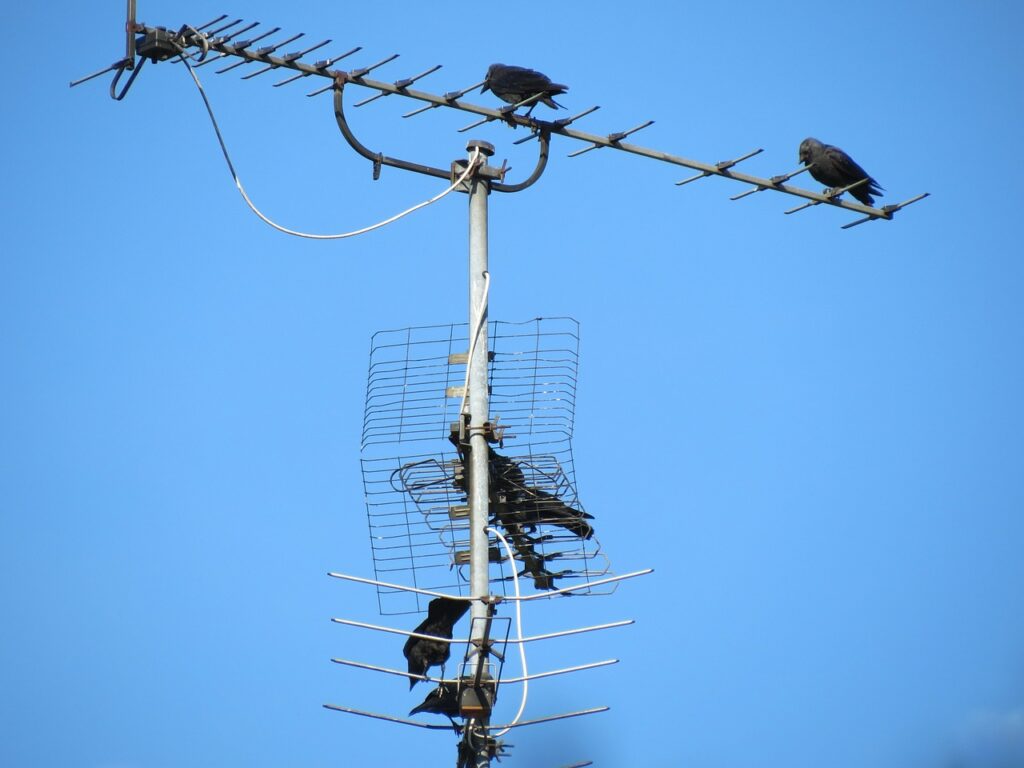 A Guide to Installing a TV Antenna - YourAmazingPlaces.com