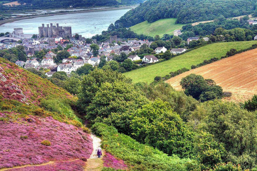 Conwy Castle from Conwy Mountain, Conwy County Borough, Wales, UK ...