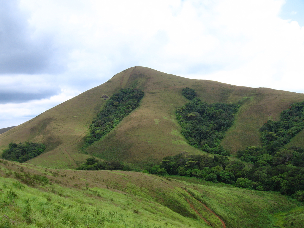 Treat Yourself with a Great Vacation – Visit Coorg - YourAmazingPlaces.com