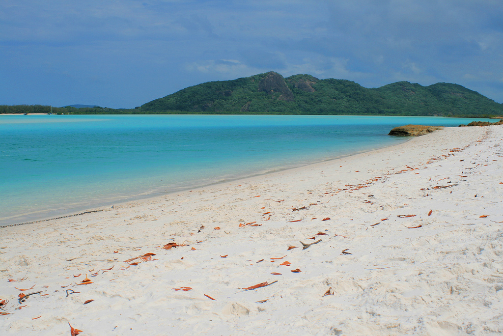 Australia’s Most Popular Beaches: A Guide to Coastal Paradise ...