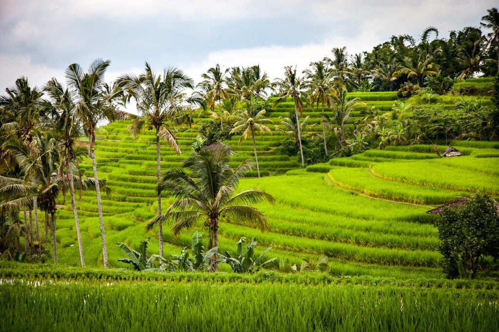 Top 14 Places That Worth to be Seen - YourAmazingPlaces.com