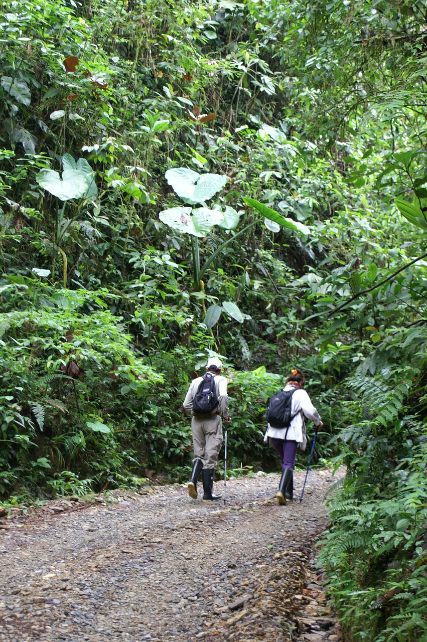 Gorilla Trekking – 5 Tips For The First Timers - Amazing Places