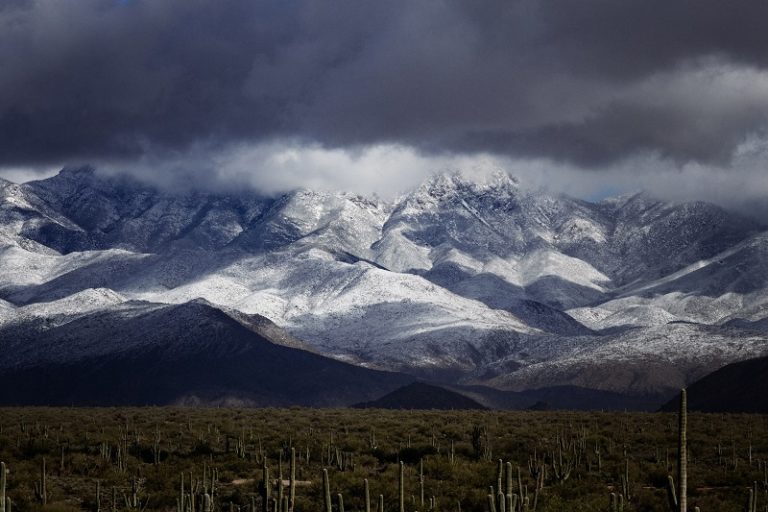 5 Reasons Phoenix is the Perfect Place to Be in Winter ...