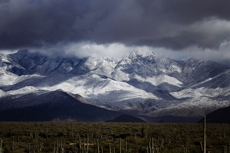 5 Reasons Phoenix is the Perfect Place to Be in Winter ...