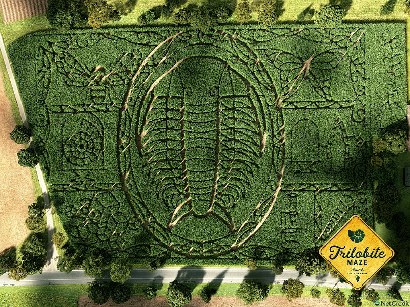 A Bird’s-eye View of America’s Toughest Corn Mazes - YourAmazingPlaces.com