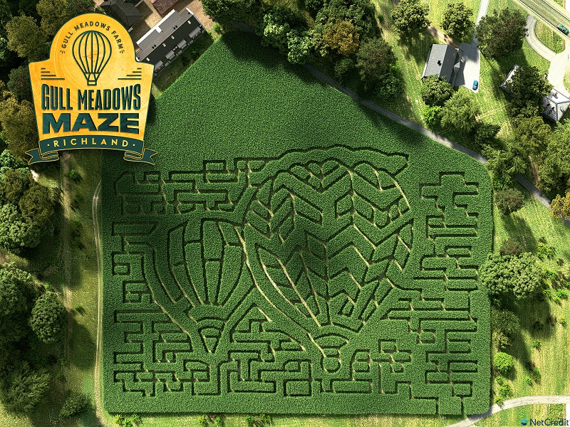 A Bird’s-eye View of America’s Toughest Corn Mazes - YourAmazingPlaces.com