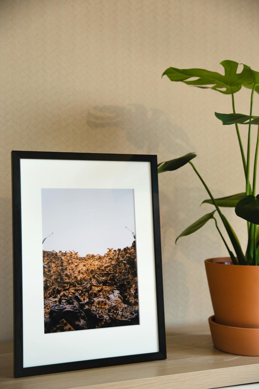 Capturing Travel Tales in Unique Frames - YourAmazingPlaces.com